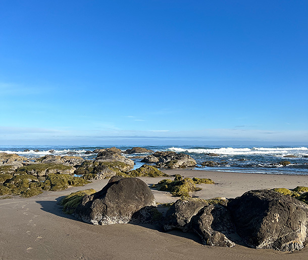 Things to Do in Lincoln City | Starfish Manor